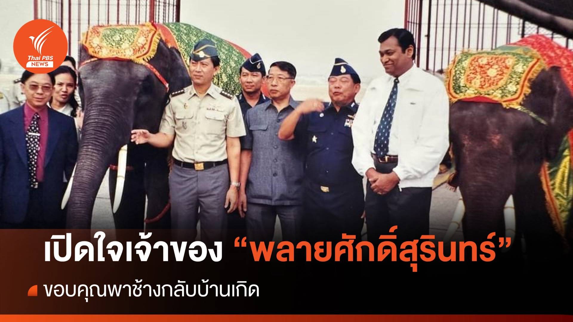 เปิดใจเจ้าของ พลายศักดิ์สุรินทร์ ขอบคุณพาช้างกลับบ้านเกิด Thai Pbs News ข่าวไทยพีบีเอส