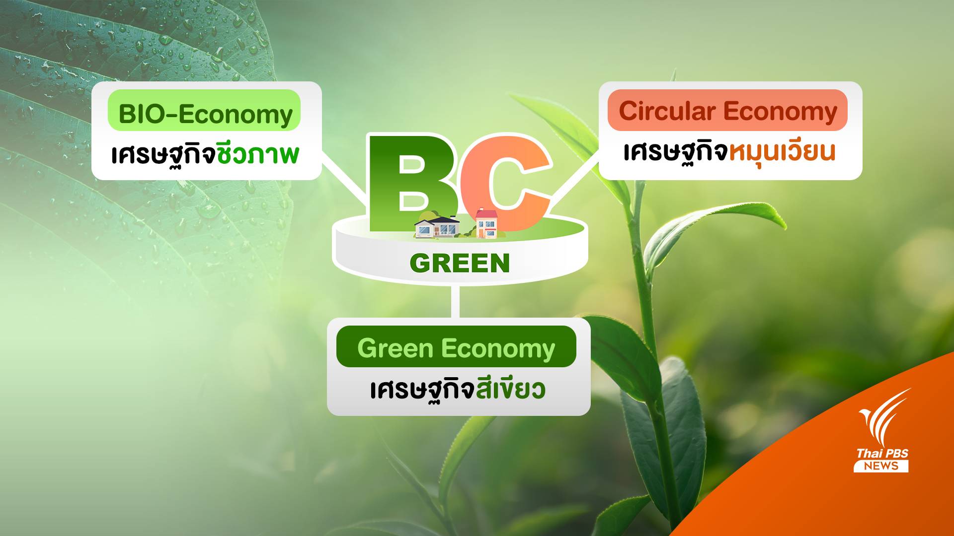 รู้จัก "โมเดลเศรษฐกิจ BCG" วาระแห่งชาติของไทยในการประชุมเอเปค 2022 | Thai PBS News ข่าวไทยพีบีเอส