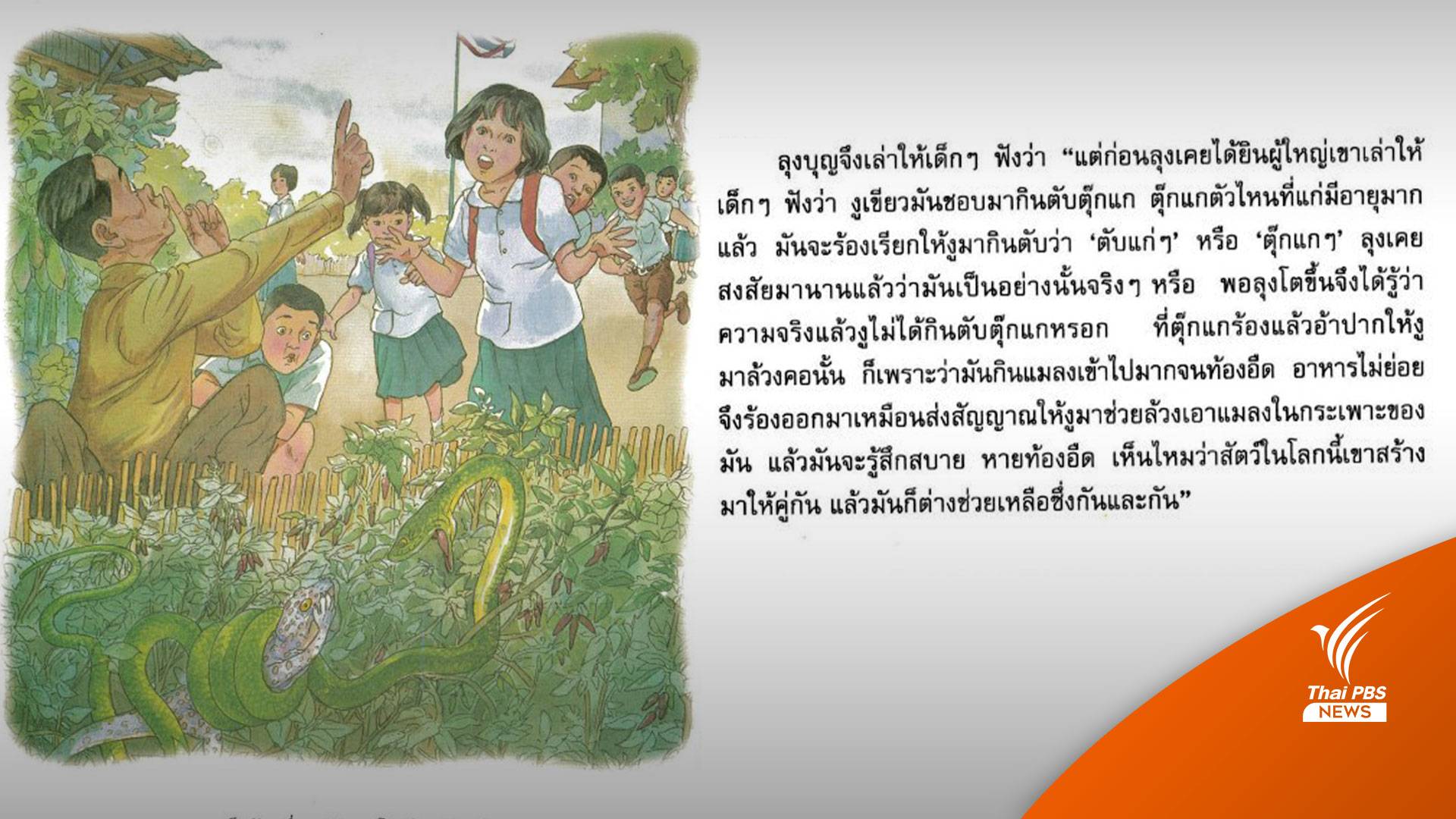 ภาษาพาที? ถึงคิว "ลุงบุญ" กับคำเฉลยงูเขียวกินตับตุ๊กแก | Thai PBS News ข่าวไทยพีบีเอส