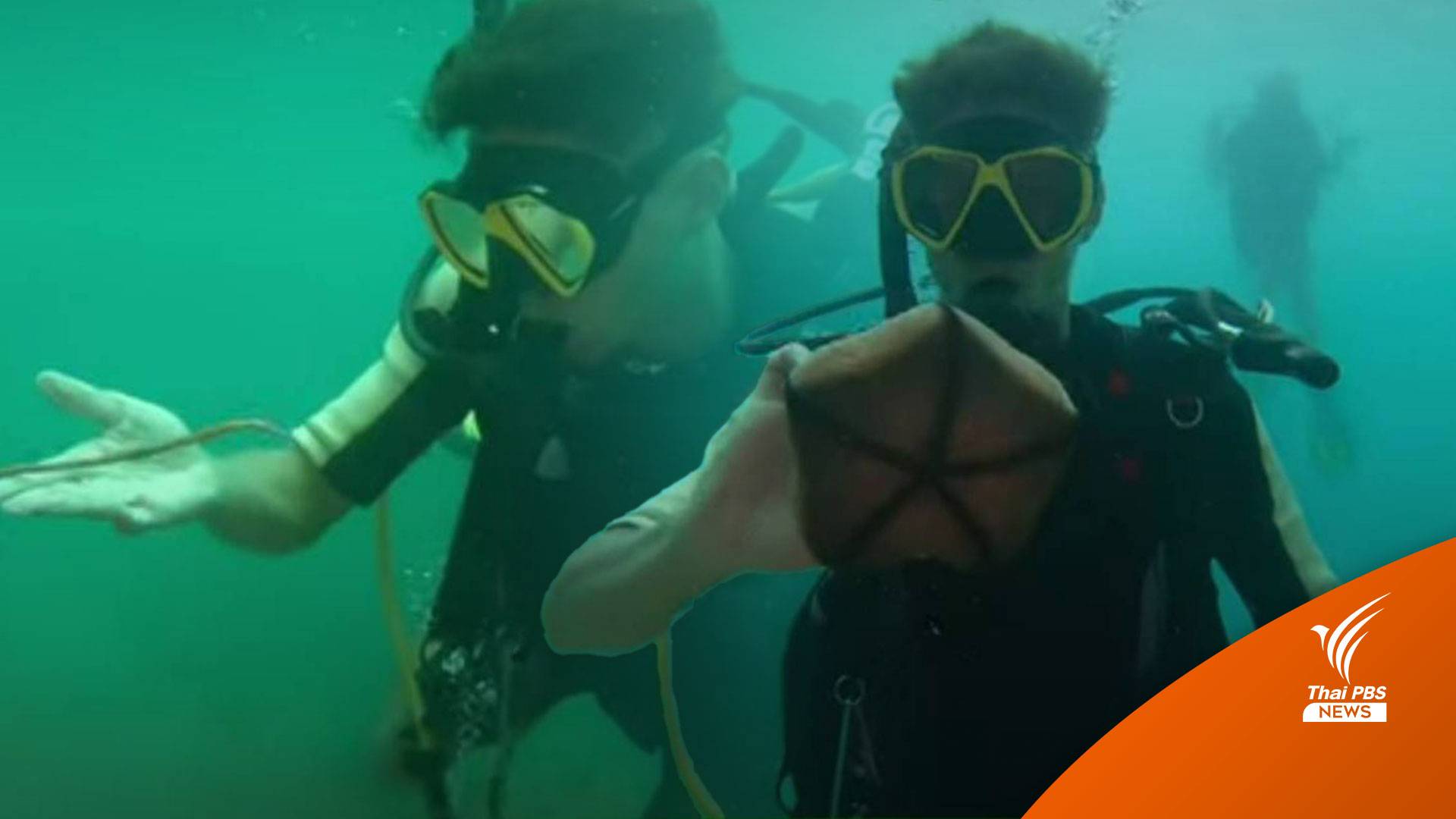 ทช.เอาผิดต่างชาติโพสต์คลิปจับ "ปลาจิ้มฟันจระเข้" เกาะพะงัน | Thai PBS News ข่าวไทยพีบีเอส