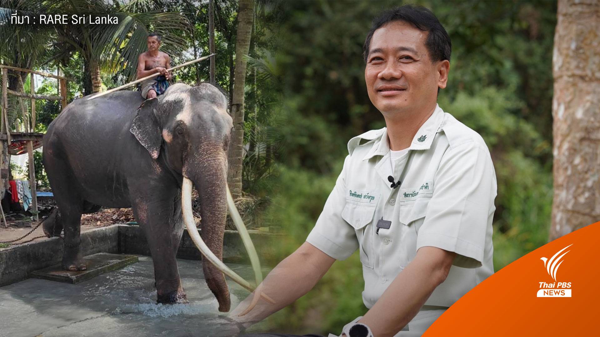 เปิดแนวทางรักษา "พลายศักดิ์สุรินทร์" ฟื้นจิตใจบั้นปลายในไทย | Thai PBS News ข่าวไทยพีบีเอส