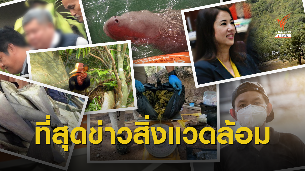 10 ข่าวสิ่งแวดล้อมโดนใจคนปี 62 | Thai PBS News ข่าวไทยพีบีเอส