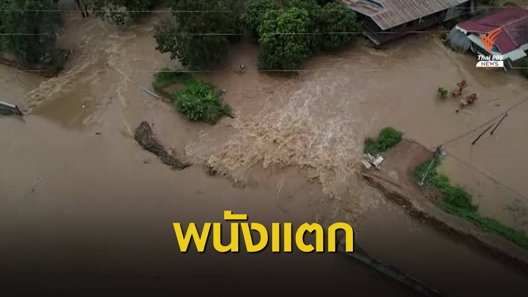 สุโขทัย พนังกั้นน้ำยมแตก ทะลักท่วมบ้าน 200 หลัง Thai Pbs News ข่าว