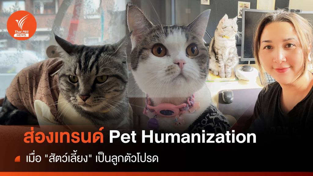 วันแม่ 2566 : ตัวลูก ตัวบุตร ตัว 4 ขา เมื่อ "สัตว์เลี้ยง" เป็นลูกตัวโปรด | Thai PBS News ข่าวไทย ...