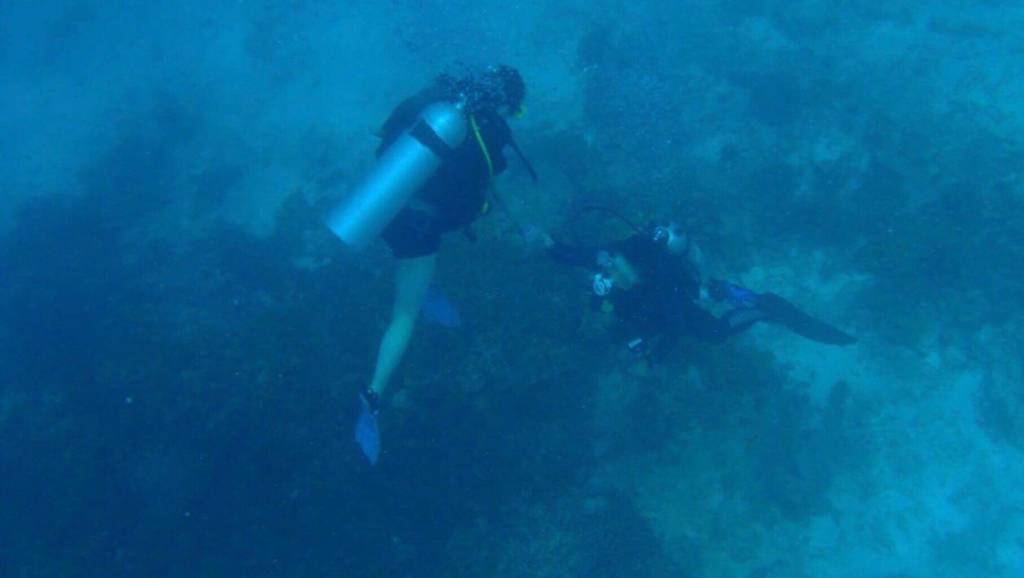 เพิกถอนใบอนุญาตเรือซีเพิร์ล 3 แอบสอนดำน้ำ "Try dive"หมู่เกาะสิมิลัน | Thai PBS News ข่าวไทยพีบีเอส